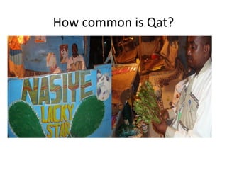 Khat presentation | PPT