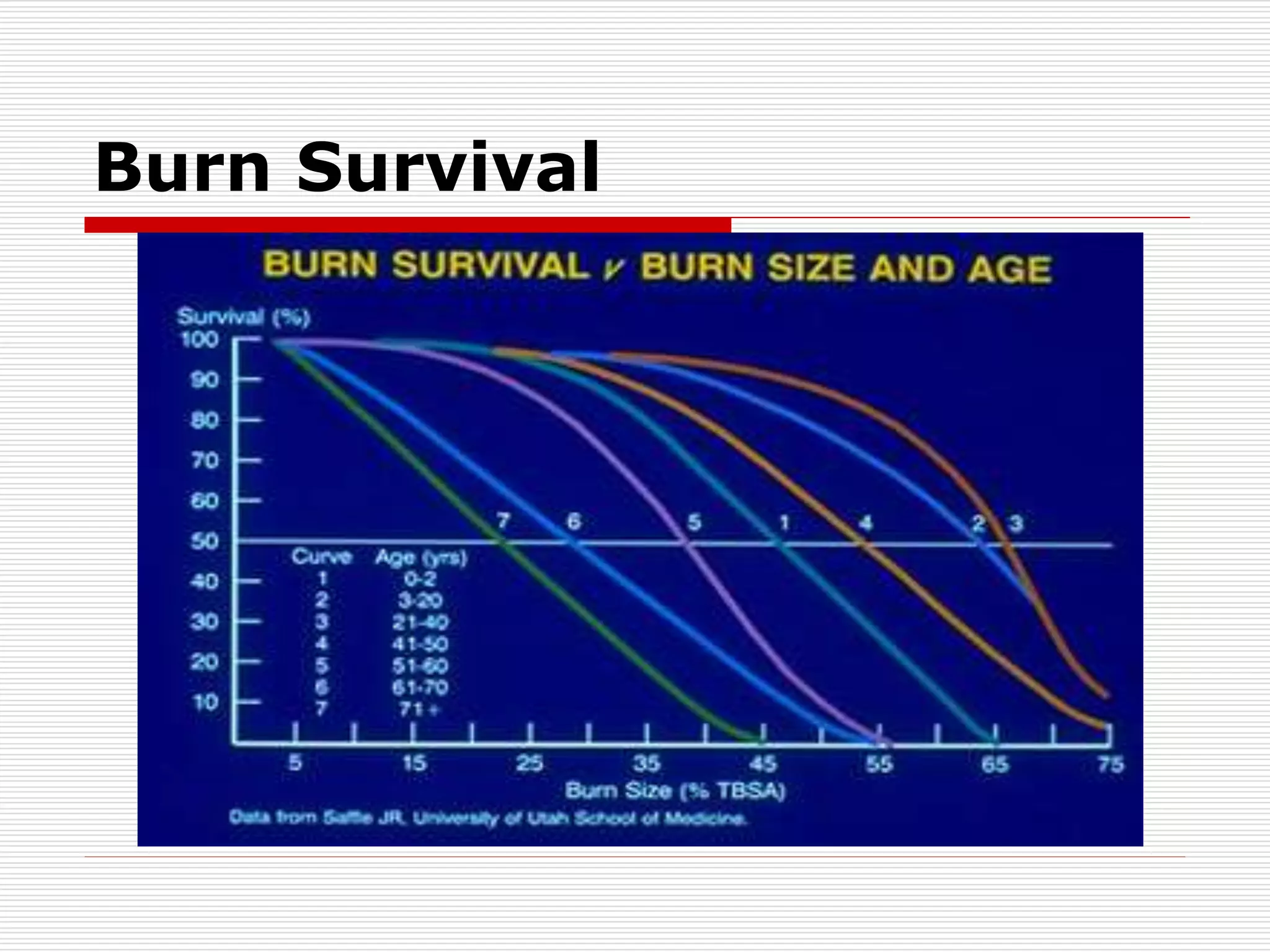 91971688-Care-of-the-Burn-Patient-Jaf.ppt
