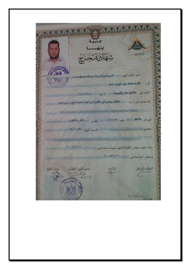 cv akram . eng-1 | PDF