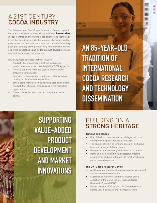 IFCIC Brochure | PDF