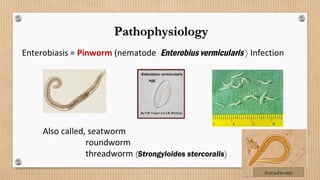 Pinworms[Hye Won] | PPT