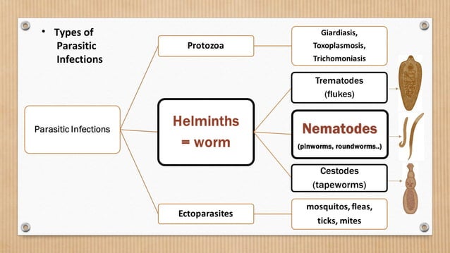 Pinworms[Hye Won] | PPT