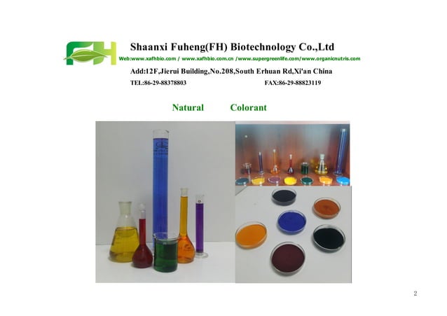 Natural Colorant - products list-(FH) | PDF