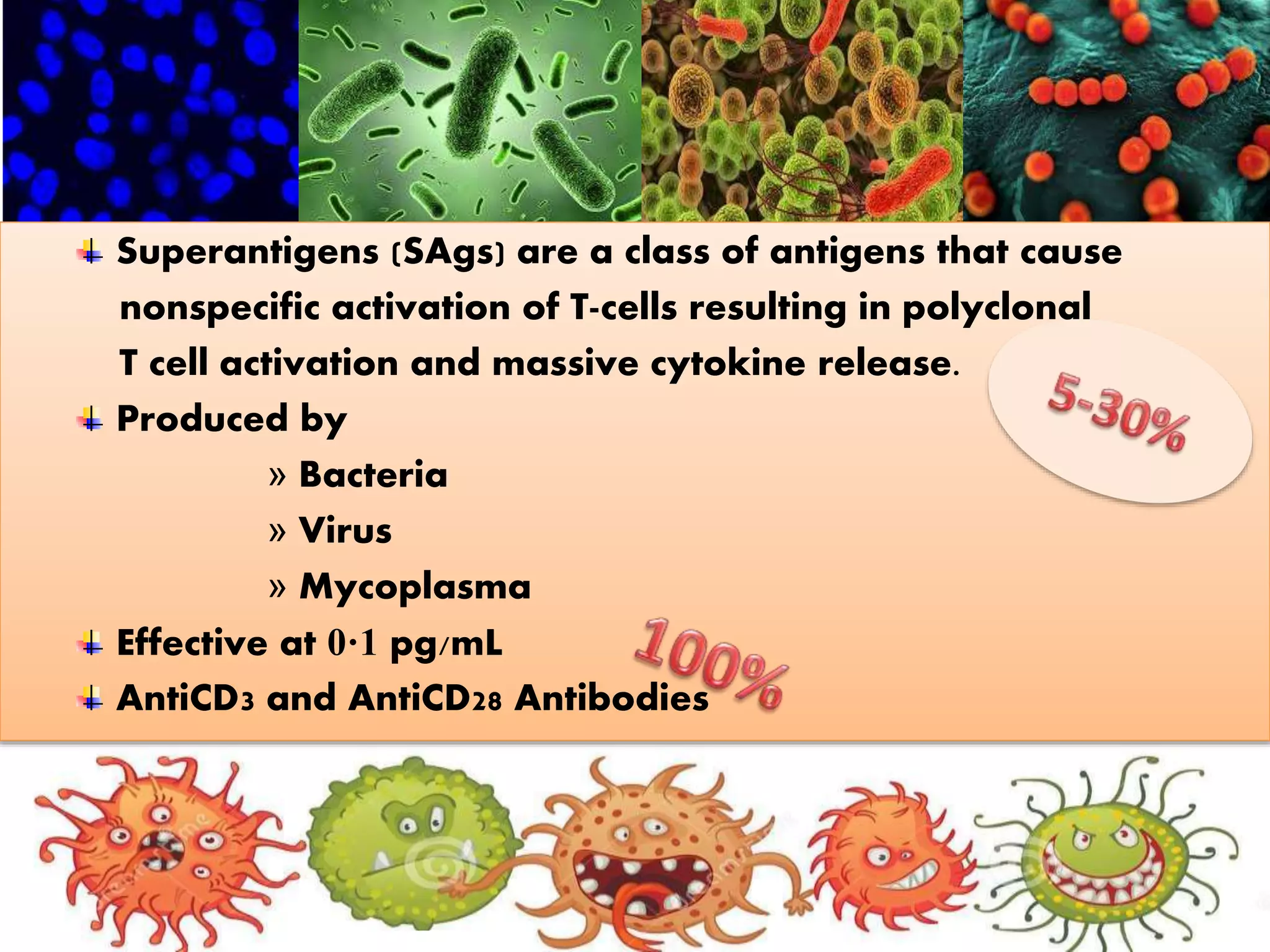 Superantigen | PPT