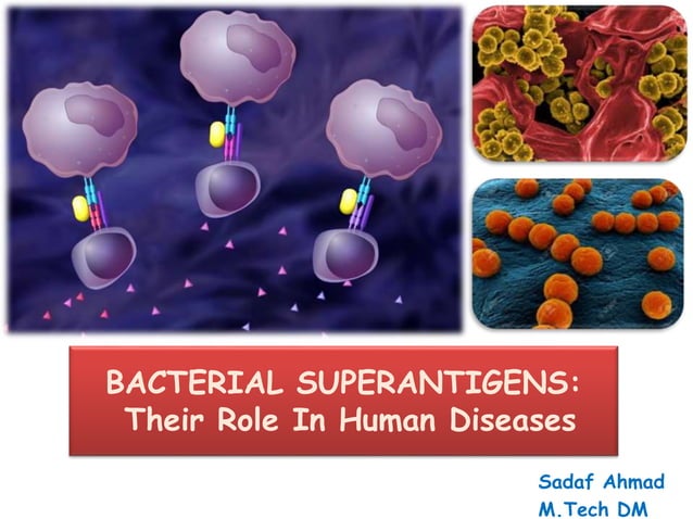 Superantigen | PPT