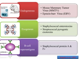 Superantigen | PPT