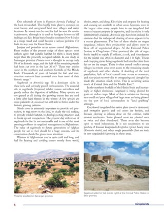 Central Afghanisan Rangelands- A history of tribal rule, grazing, war ...