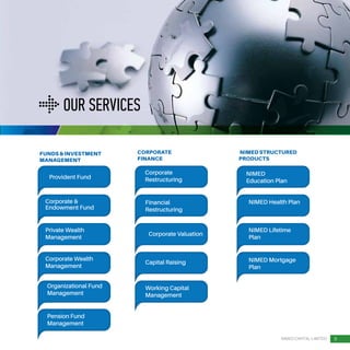 NIMED Profile New | PDF