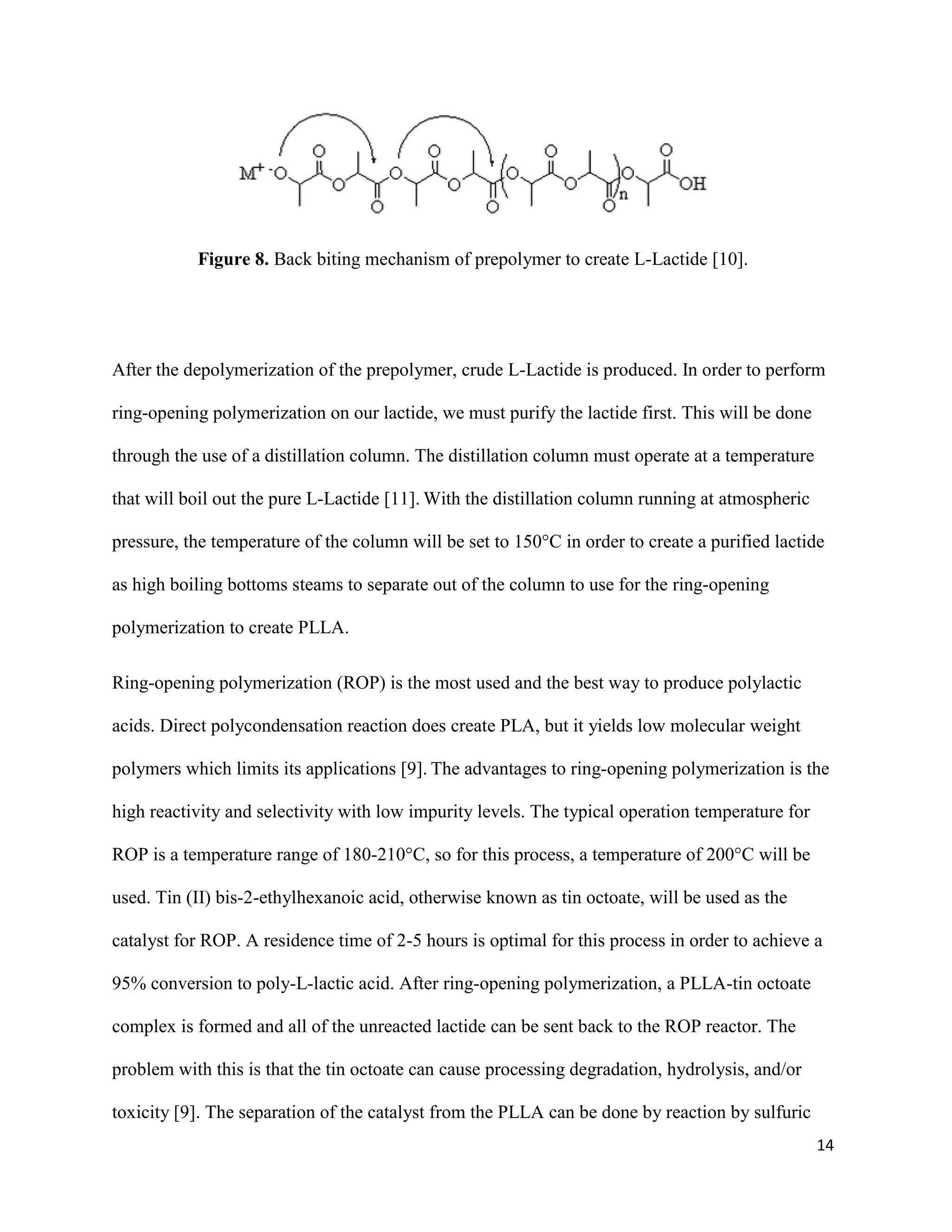 Production of Polylactic Acid Feasibility Report_Team Apollo.docx