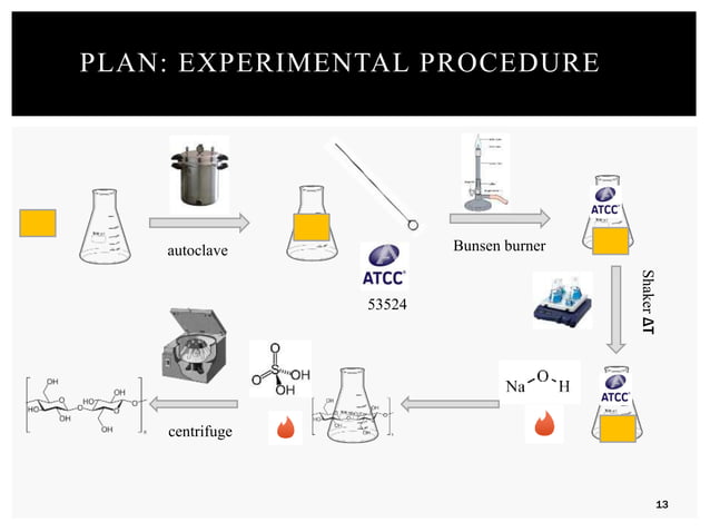 Bacterial Cellulose A Perfect Medium | PPTX | Chemistry | Science