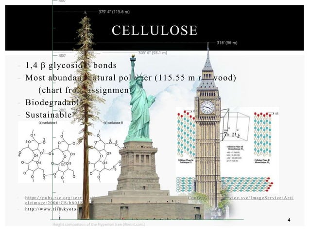 Bacterial Cellulose A Perfect Medium | PPTX | Chemistry | Science