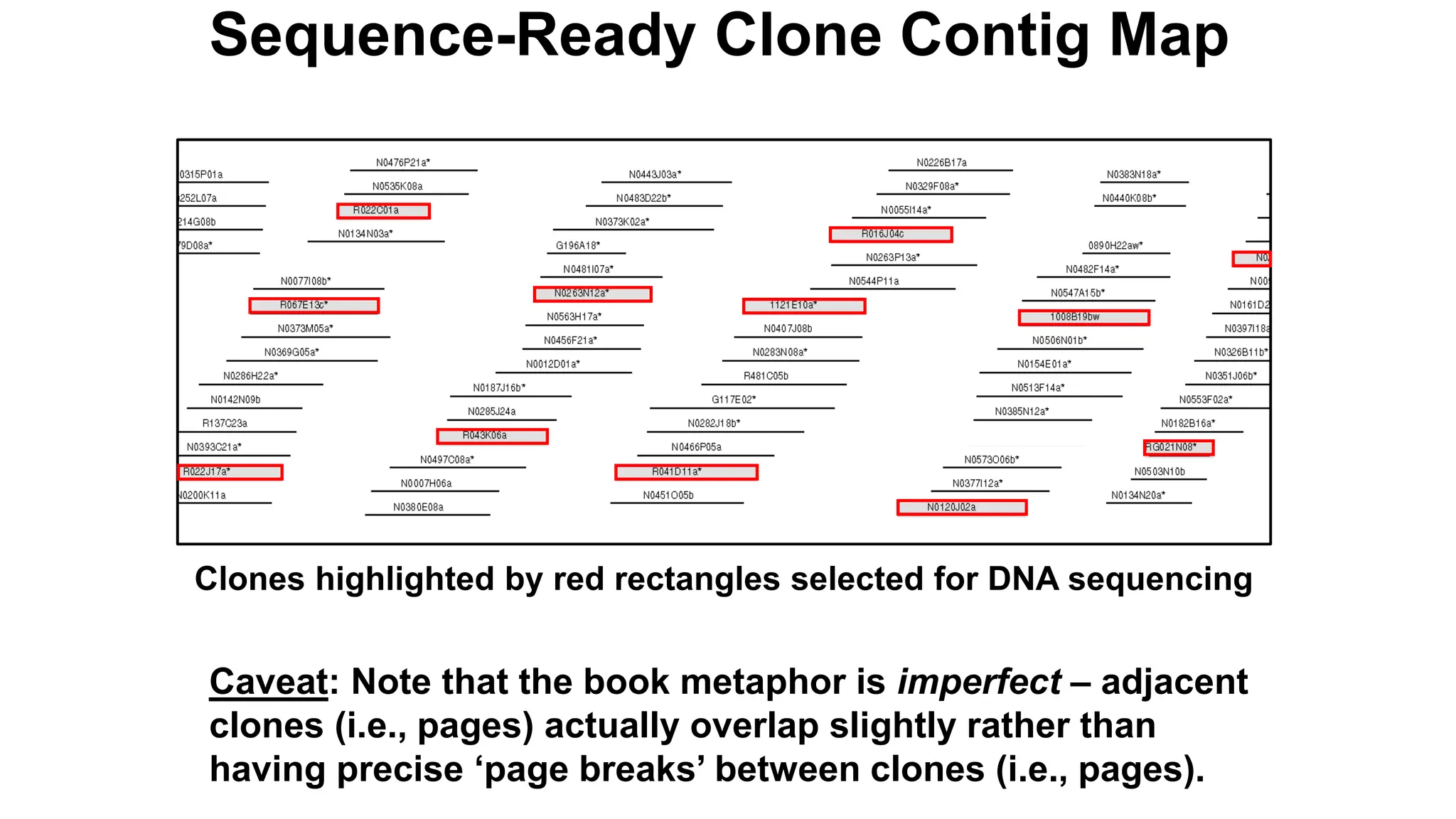 HUMAN GENOME PROJECT OVERVIEW.pptx
