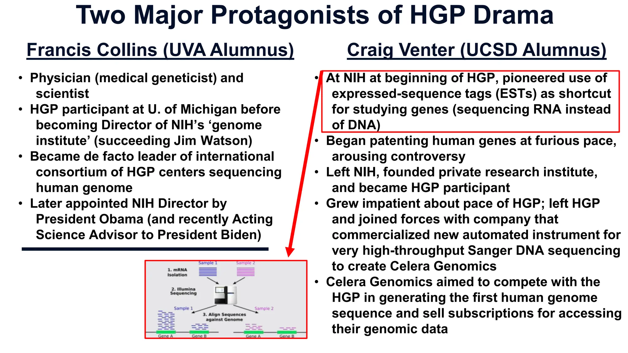 HUMAN GENOME PROJECT OVERVIEW.pptx