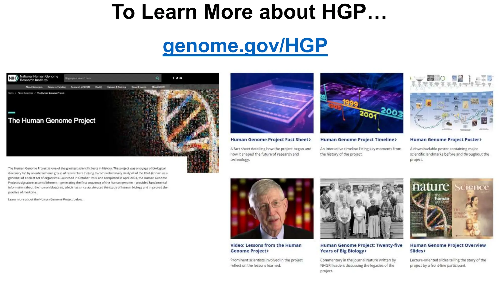 HUMAN GENOME PROJECT OVERVIEW.pptx