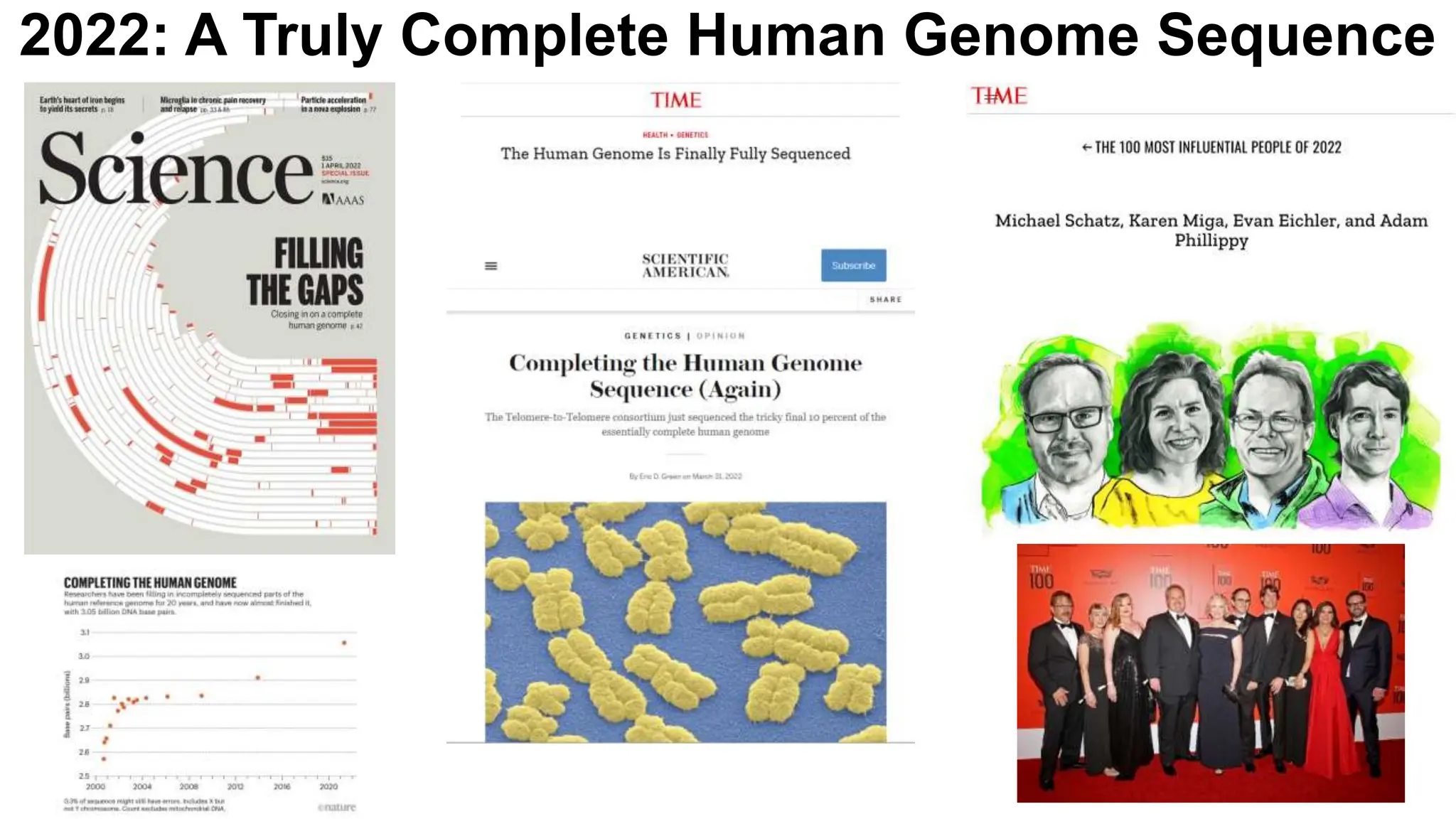 HUMAN GENOME PROJECT OVERVIEW.pptx