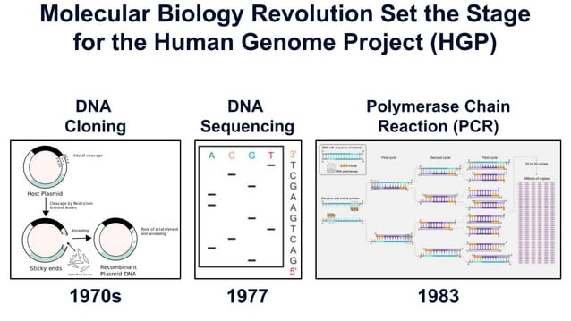 HUMAN GENOME PROJECT OVERVIEW.pptx