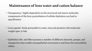 Physiology of lens and Cataractogenesis | PPTX