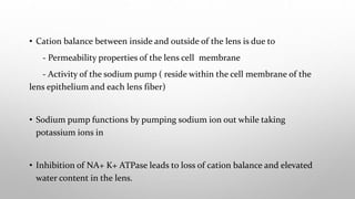 Physiology of lens and Cataractogenesis | PPTX