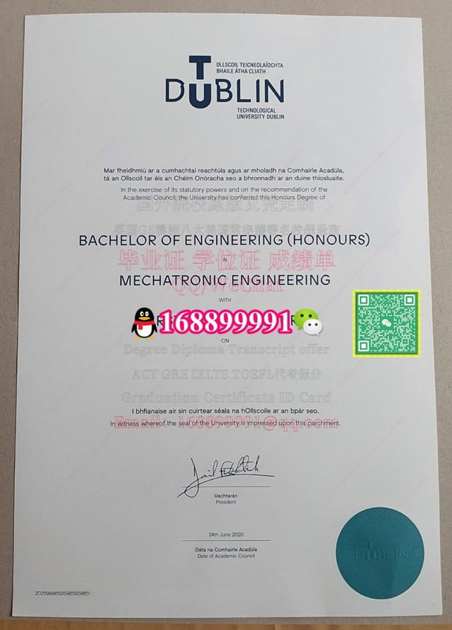 Technological University Dublin Diploma Degree Transcript | PDF