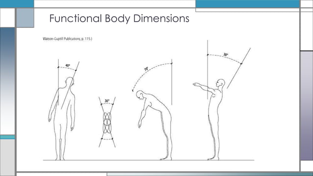 #9_2-Anthropometry in Occupational Biomechanics.pdf | Physics | Science