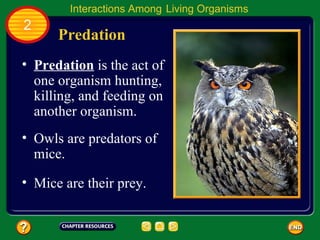 Complete Chapter 9:2 - Interactions Between Living Things | PPT