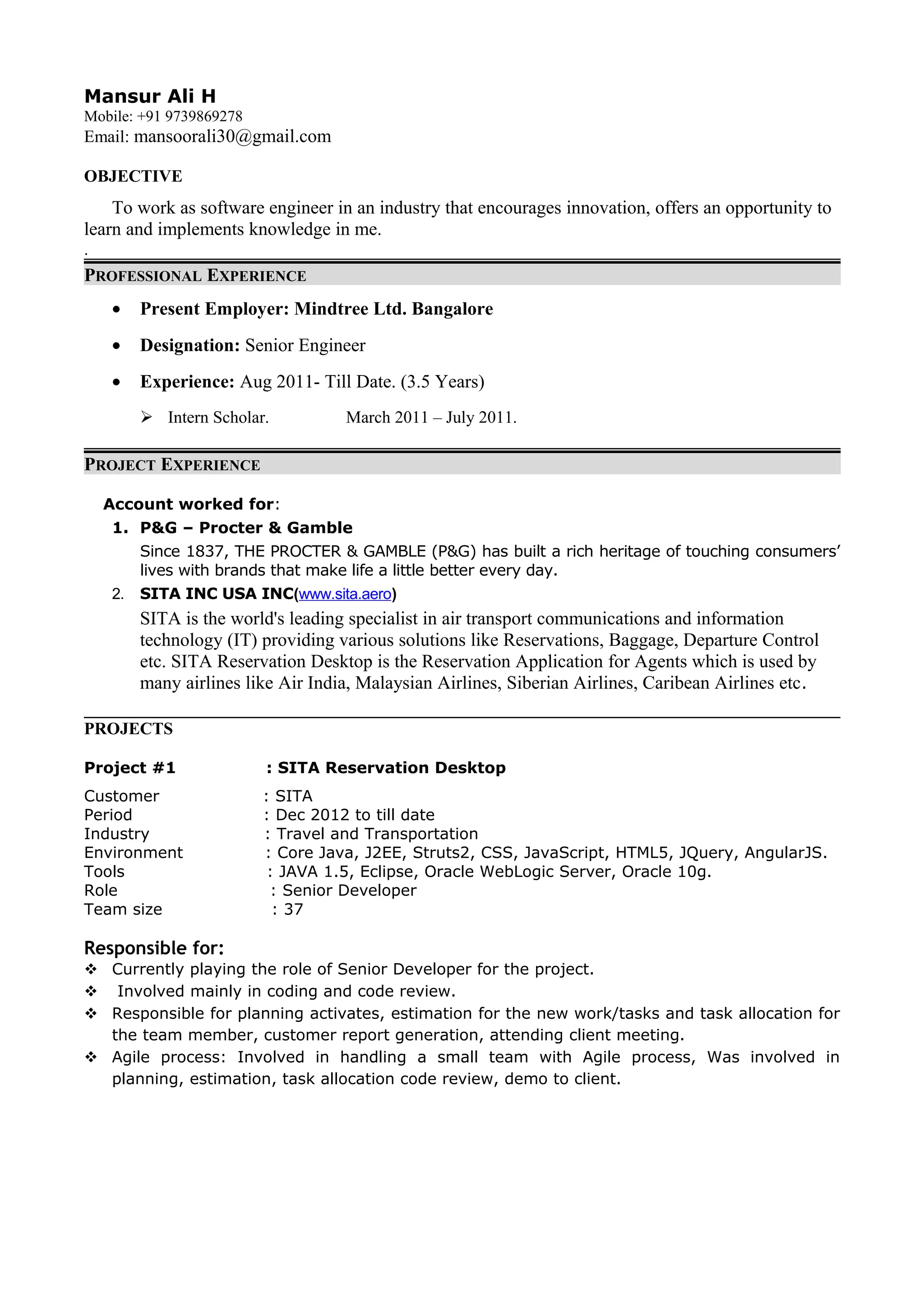 MansurAliH -Resume | PDF