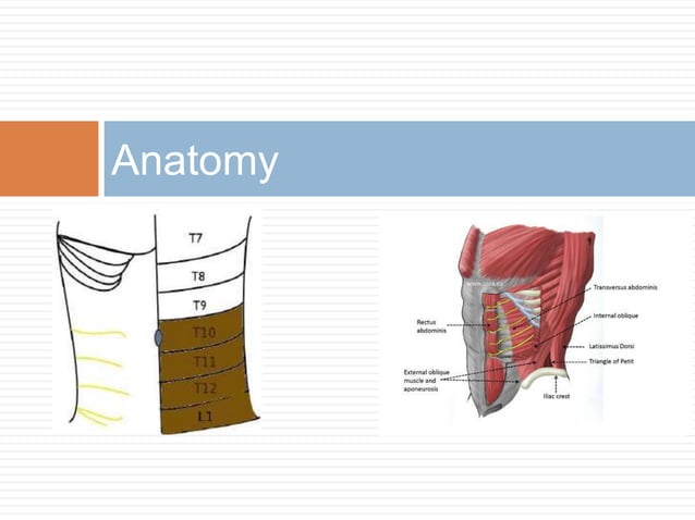 Ultrasound Guided Transversus Abdominis Plane (TAP) Block | PPTX