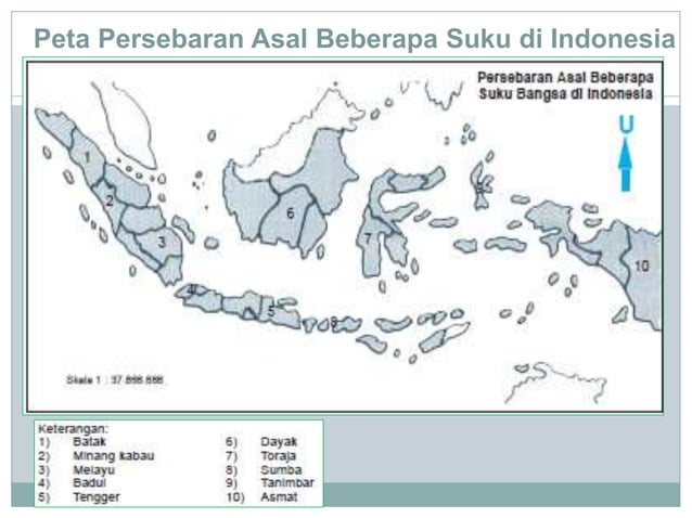 Keragaman Suku Bangsa dan Budaya Indonesia | PPTX