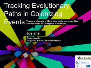 Tracking evolutionary paths | PPT