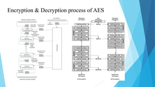 Thesis presentation 14023164 | PPTX