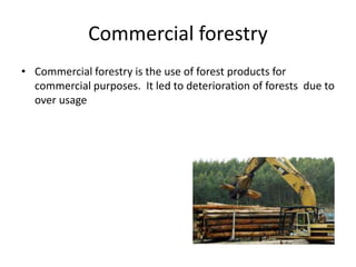 92423401-Forest-Society-and-Colonialism.pptx