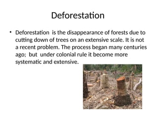 92423401-Forest-Society-and-Colonialism.pptx