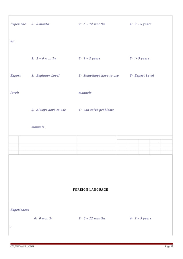 Curriculum Vitae_ Luong Vu Van | PDF