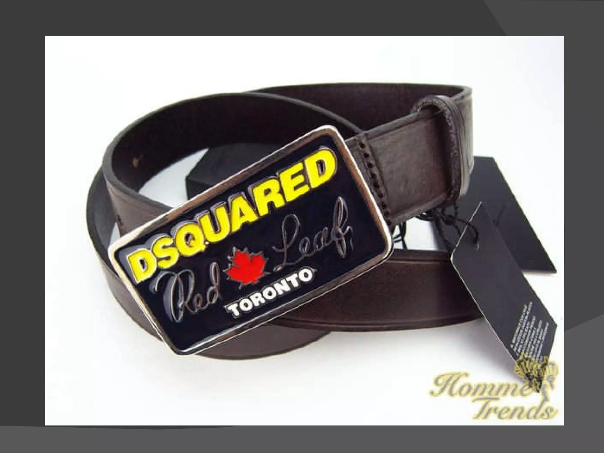 DSQUARED 2 10秋冬 棕色 皮帶 S74TP0350 | PPT