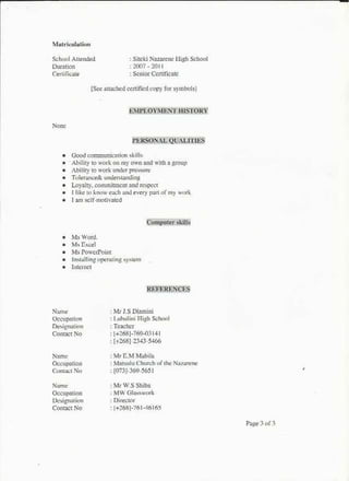 SMALL CV | PDF