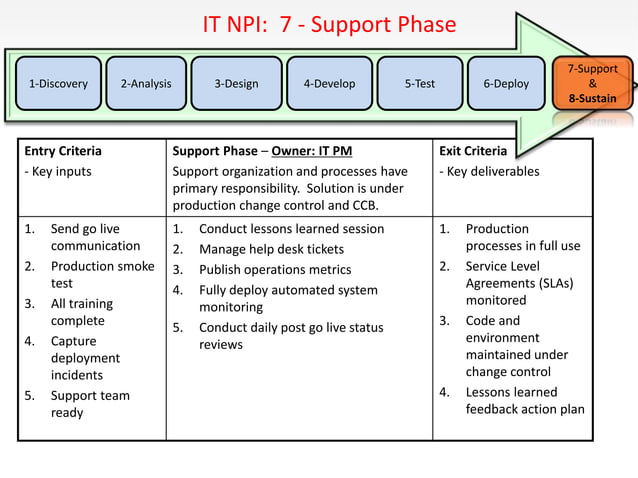 IT NPI Process | PPTX | IT and Internet Support | Internet