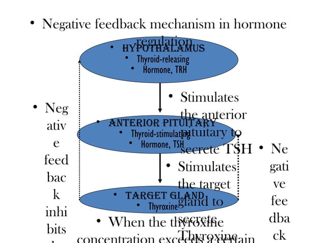The-Role-of-Hormones science 10 aguinaldo | PPTX