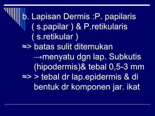 92688560 anatomi-sistem-integumen | PPT