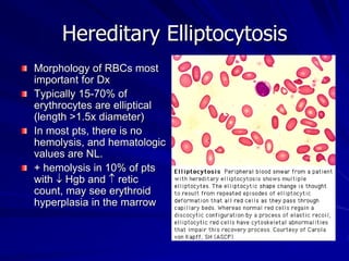 Heme Onc Team Sept 2004 | PDF