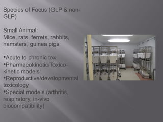 CARECHPCupdated | PPT