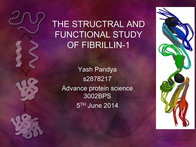 THE STRUCTRAL AND FUNCTIONAL STUDY OF FIBRILLIN-1 PROTEIN | PPTX ...