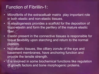 THE STRUCTRAL AND FUNCTIONAL STUDY OF FIBRILLIN-1 PROTEIN | PPTX ...