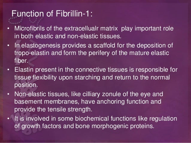 THE STRUCTRAL AND FUNCTIONAL STUDY OF FIBRILLIN-1 PROTEIN