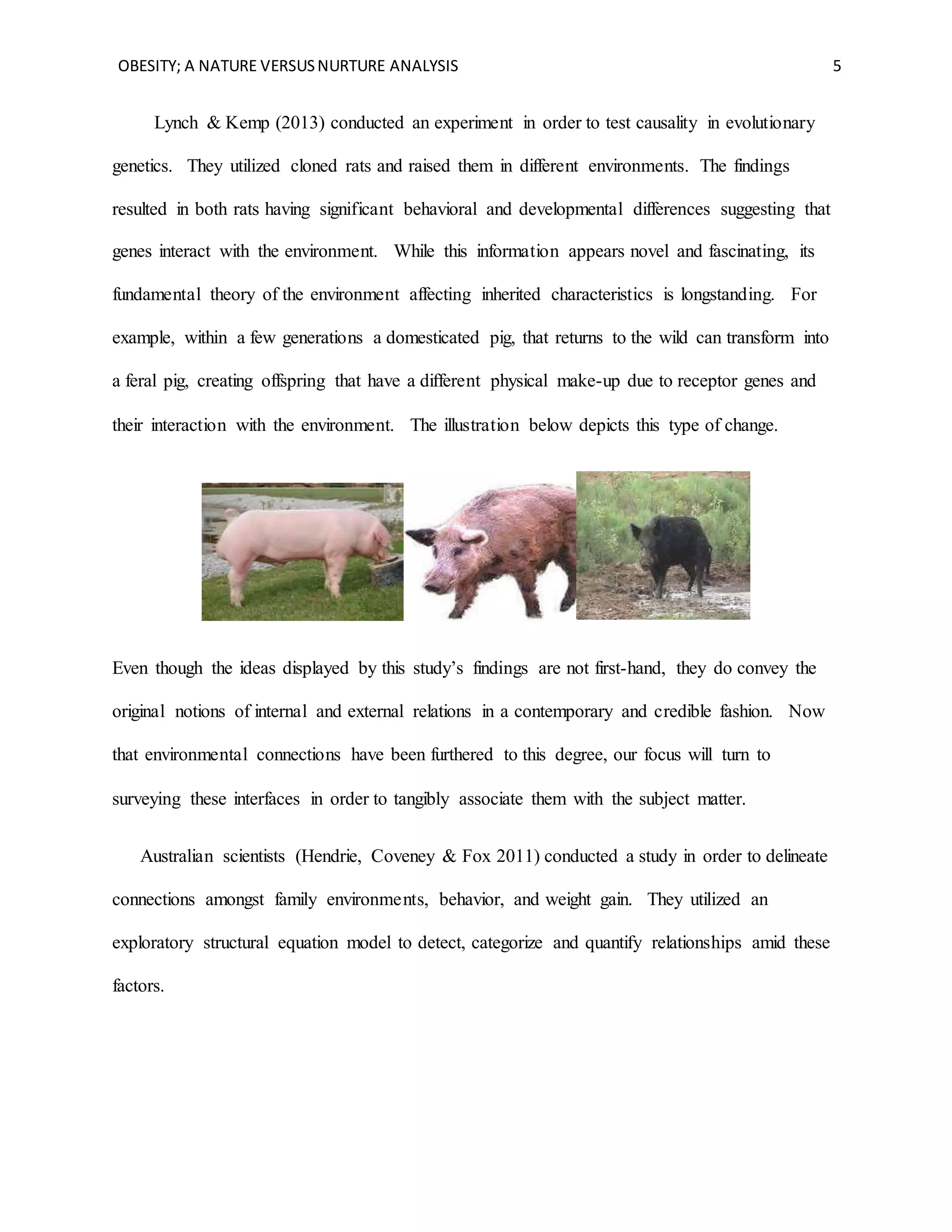 Obesity Research Paper | DOCX