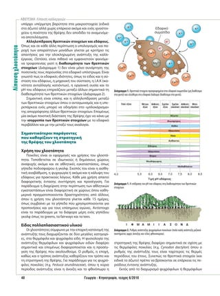 Article on turf fertilization 2010 | PDF