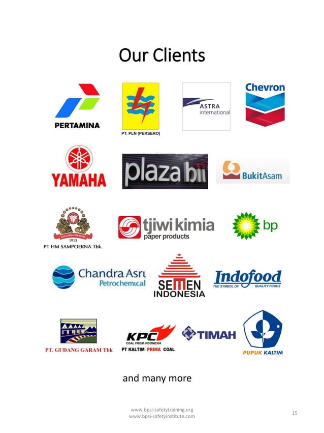 New Company Profile - BPSI (revised) | PDF