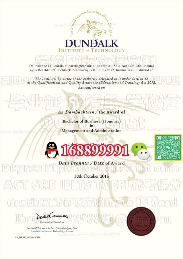 Dundalk Institute of Technology Diploma Degree Transcript | PDF