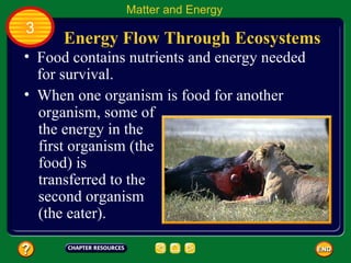 Chapter 9.3: Matter and Energy in Ecosystems | PPT | Geography | Science