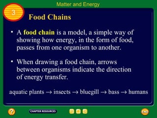 Chapter 9.3: Matter and Energy in Ecosystems | PPT