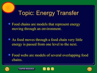 Chapter 9.3: Matter and Energy in Ecosystems | PPT